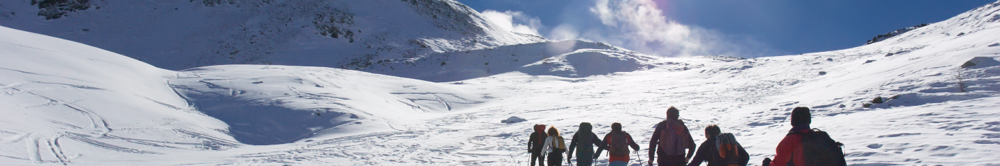 Guided / Escorted Tours